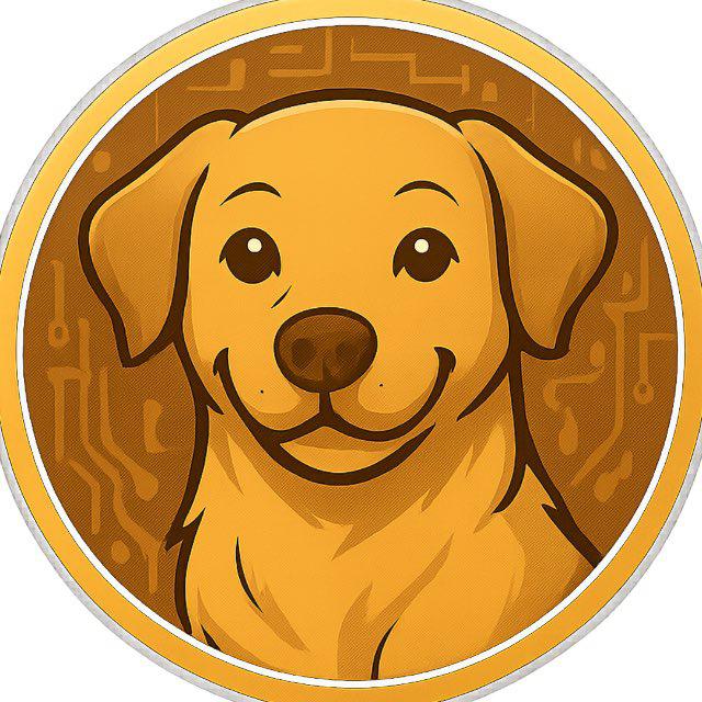 Home | CRIPTO NO PIX